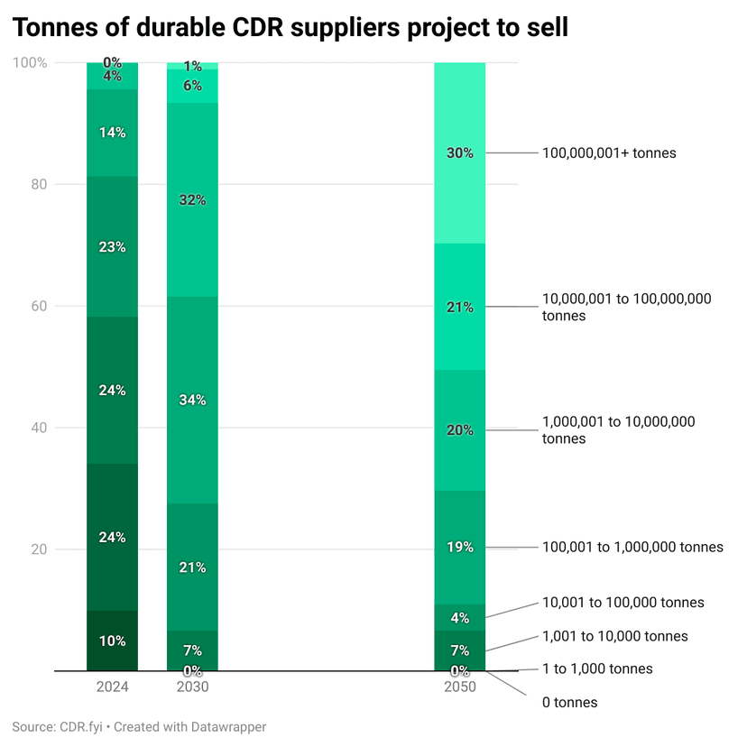 2024+ Market Outlook Summary Report