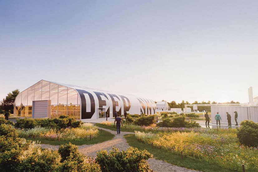 CDR Monthly Recap - November 2024